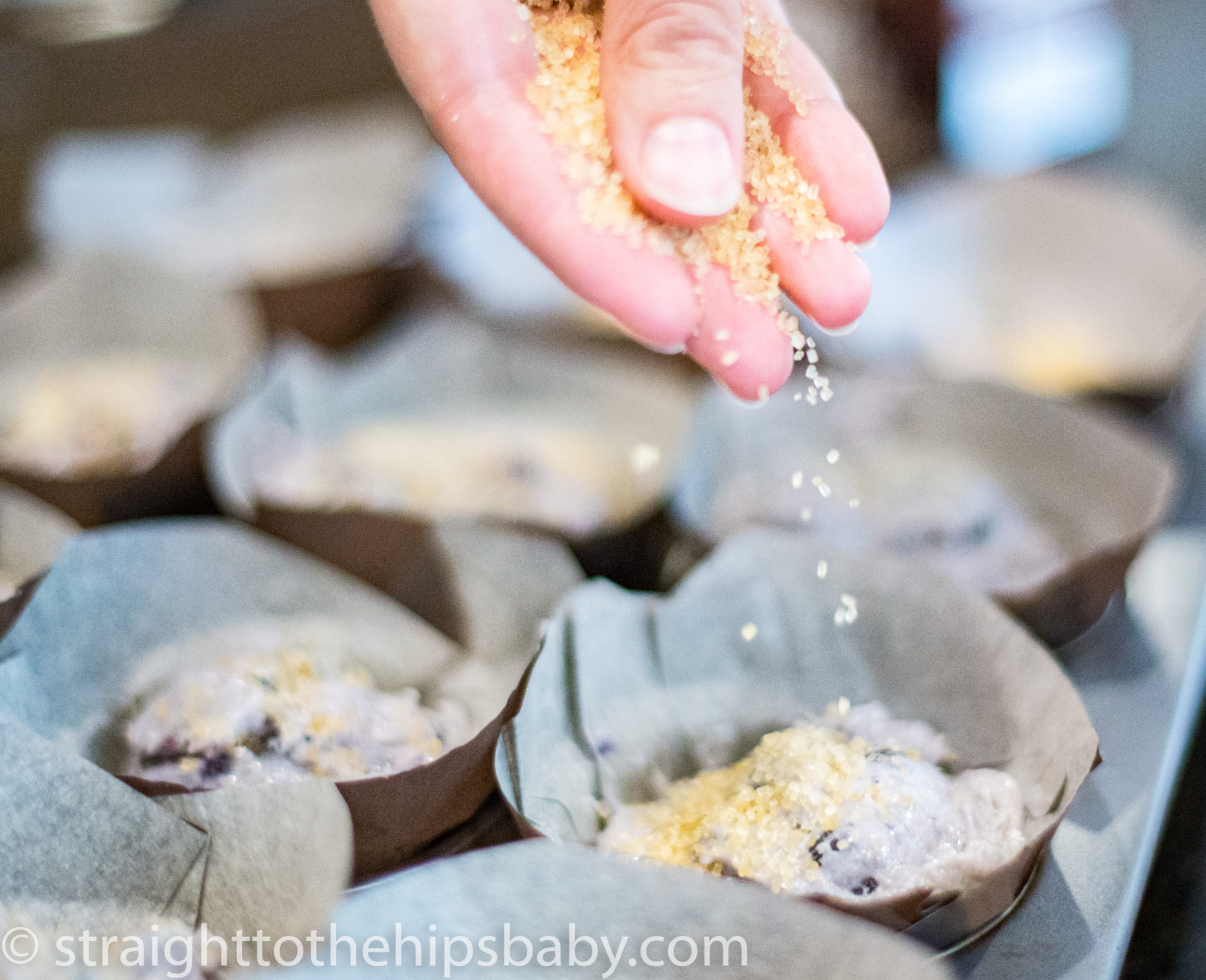 Famous Blueberry Muffins - Straight to the Hips, Baby